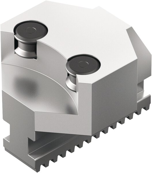 RHS Clamping inserts - the broadest range of clamping technology ...
